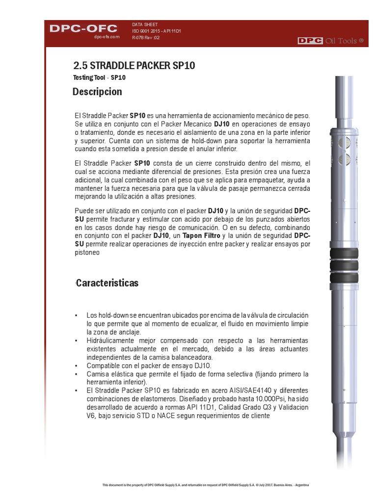 2.5 STRADDLE PACKER SP10 SERIES Data Sheet | PDF | Ingeniería mecánica ...