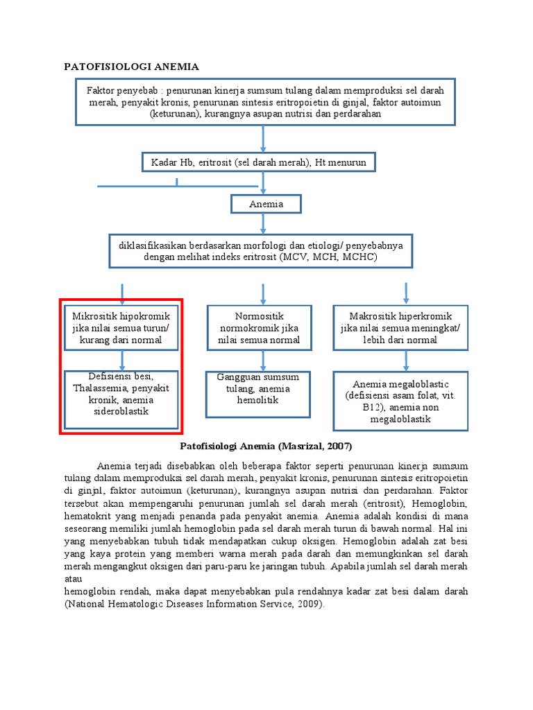 Patofisiologi Anemia | PDF