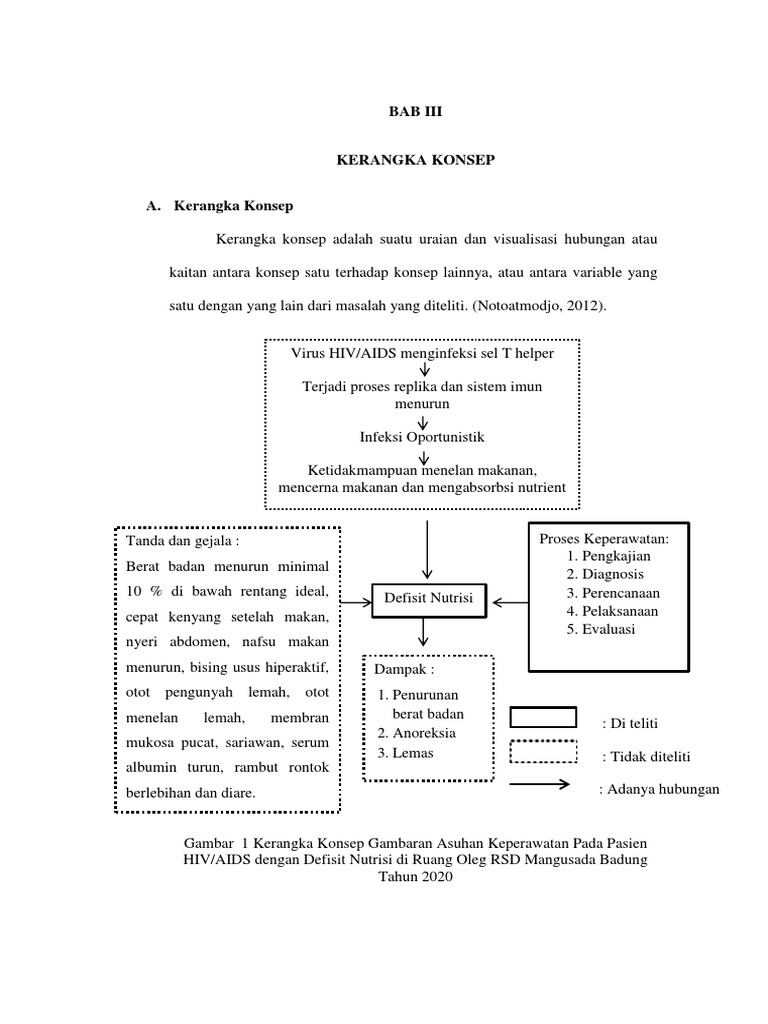 BAB III Kerangka Konsep | PDF