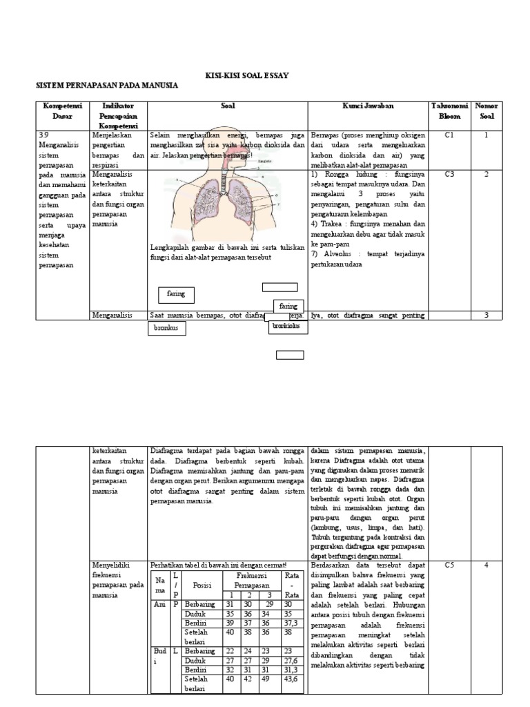 Kisi Kisi Soal Sistem Pernapasan Kelompok 5 Pdf