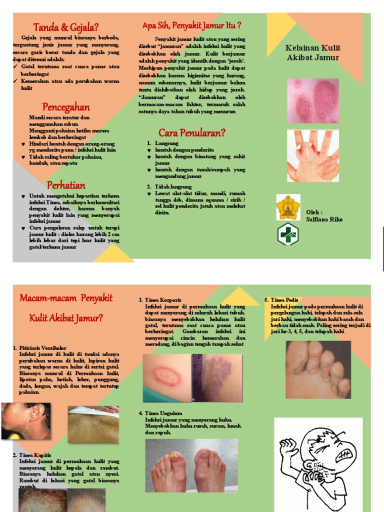 Leaflet Jamur | PDF | Kesehatan Holistik