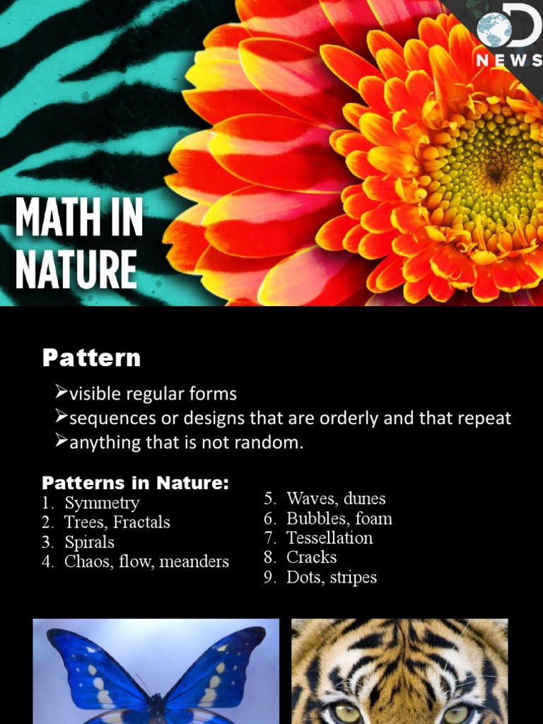 Patterns in Nature | PDF | Pattern | Physics