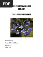 Class 12 Biology Ncert Index | PDF