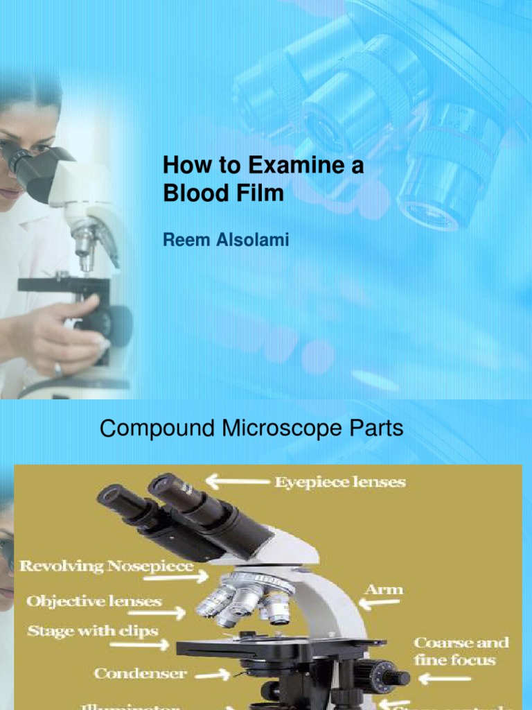 How To Examine A Blood Film: Reem Alsolami | PDF | White Blood Cell ...