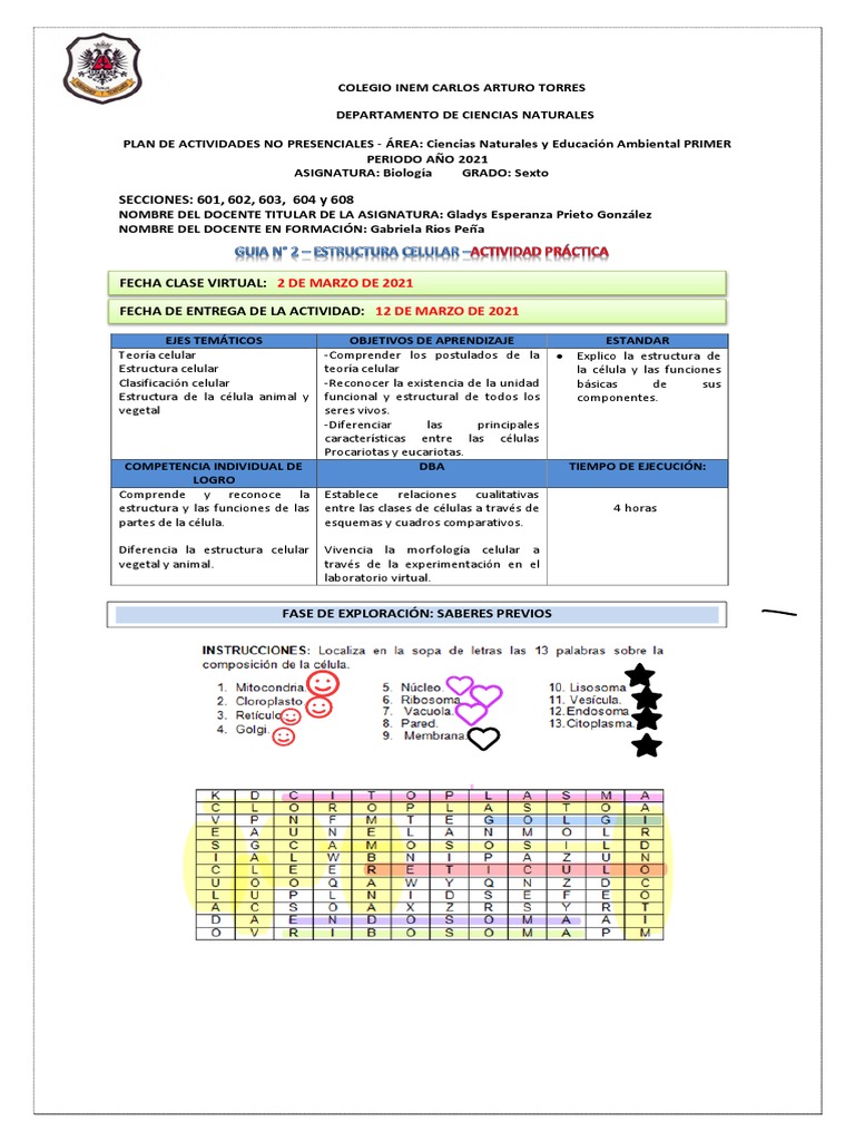 Actividad #2 - Grado 6° Estructura Celular - Ultima | PDF | Biología ...