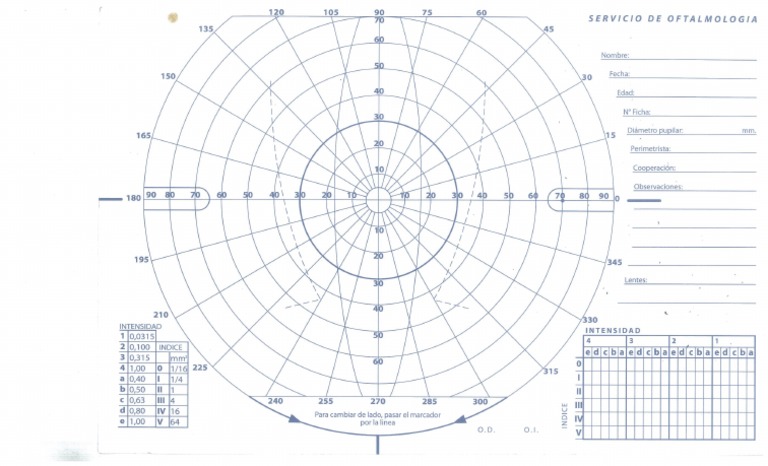 Cartilla Goldmann Plantilla | PDF