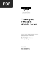 Pony Club C Test | PDF | Horse Gait | Horses