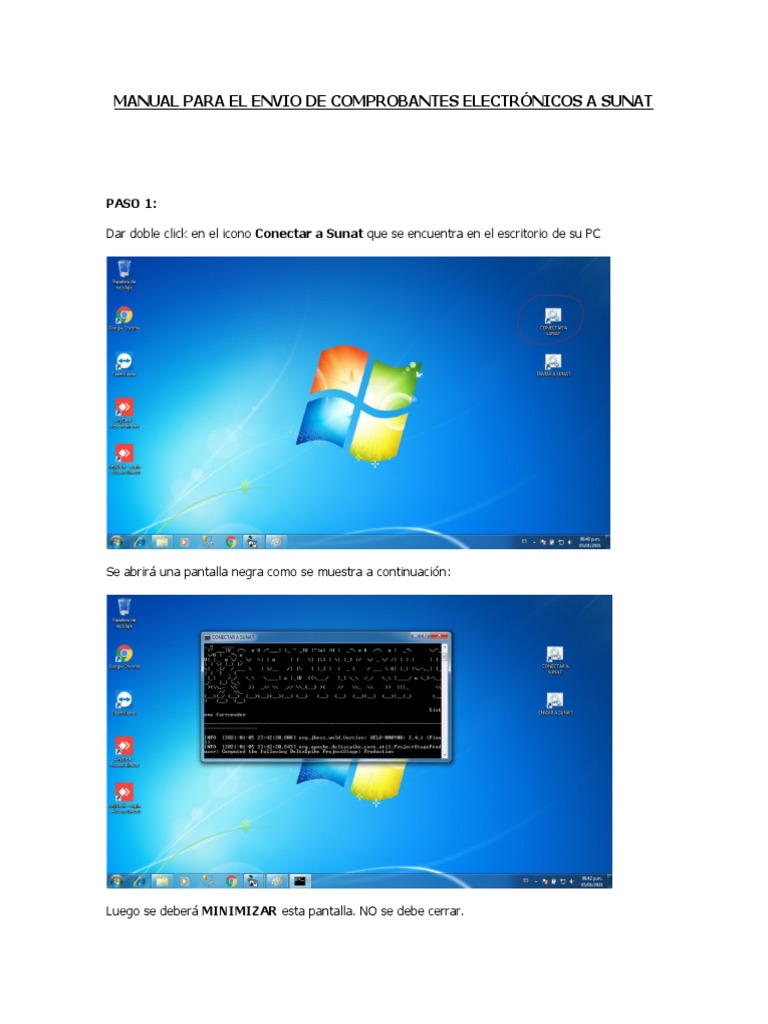 Manual para El Envio de Comprobantes Electrónicos A Sunat | PDF ...
