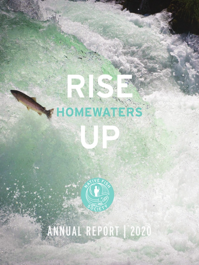 Native Fish Society 2020 Annual Report | PDF | Rainbow Trout | Salmon