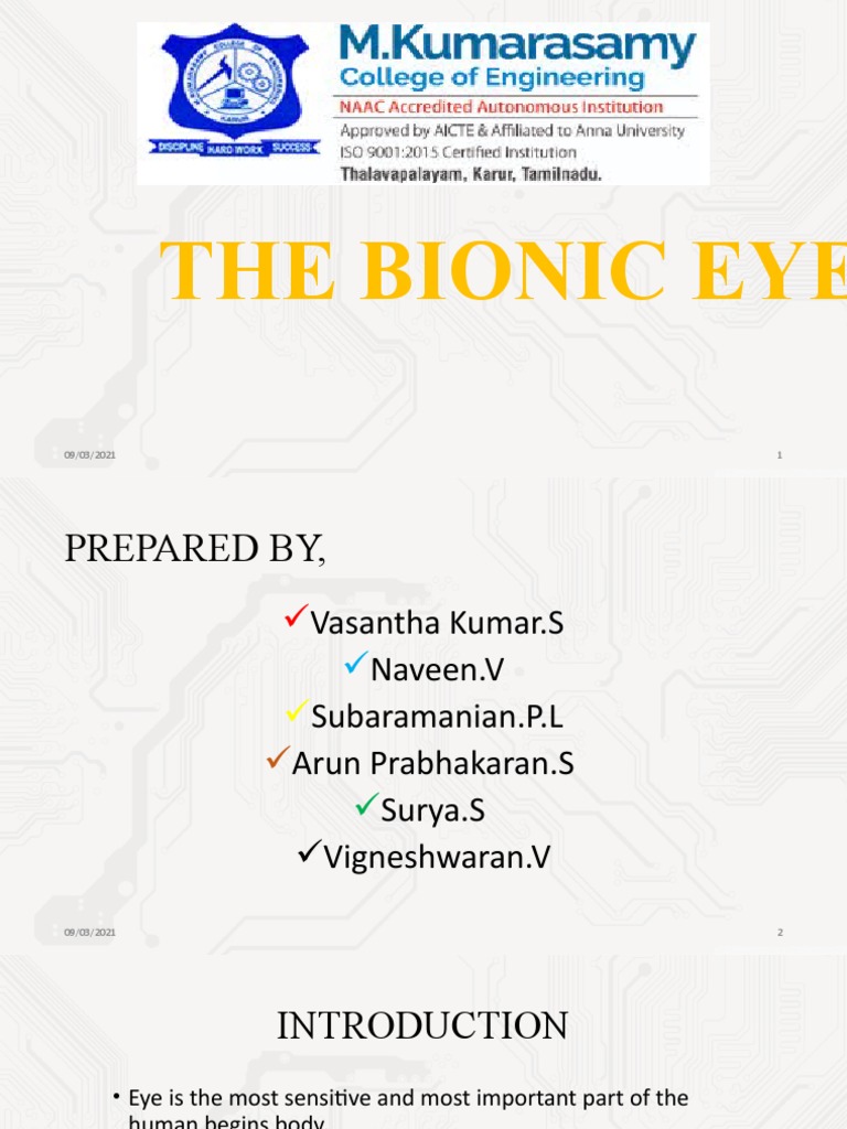 The Bionic Eye | PDF | Retina | Vision
