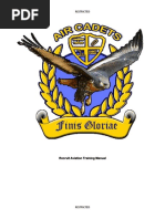 AAFC Badges of Rank | PDF