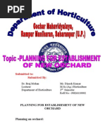 Method of Layout Orchard | PDF | Plants | Trees