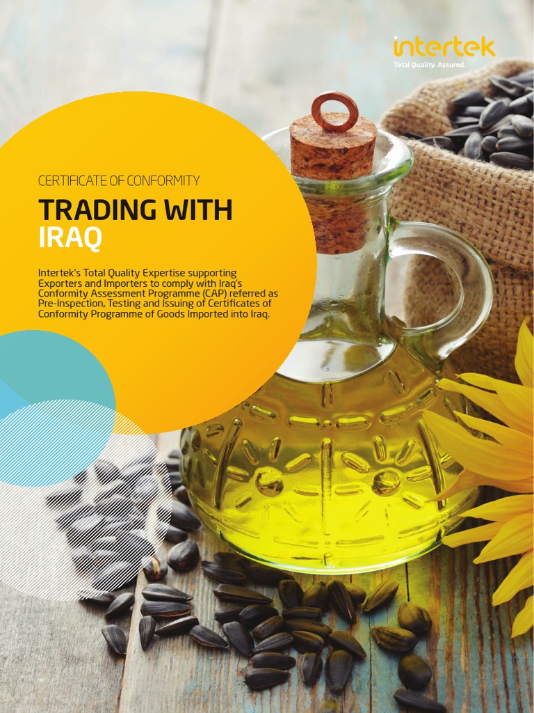 Iraq Marketing Flyer - English Final | PDF | Business