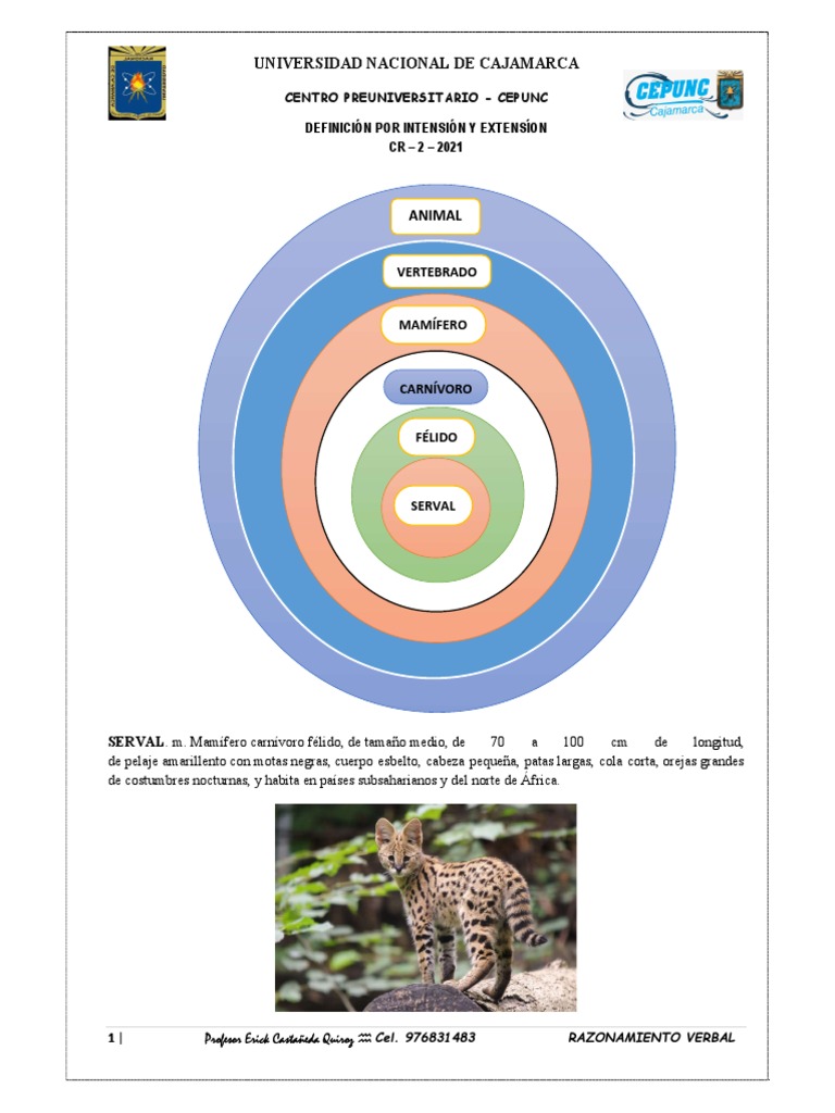 Definicion y Extencion | PDF