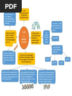 Teoria Celular de La Coagulación | PDF | Coagulación | Plaqueta