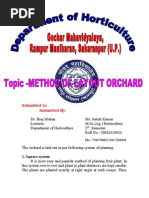 Planting System in Orchards | PDF | Rectangle | Orchard