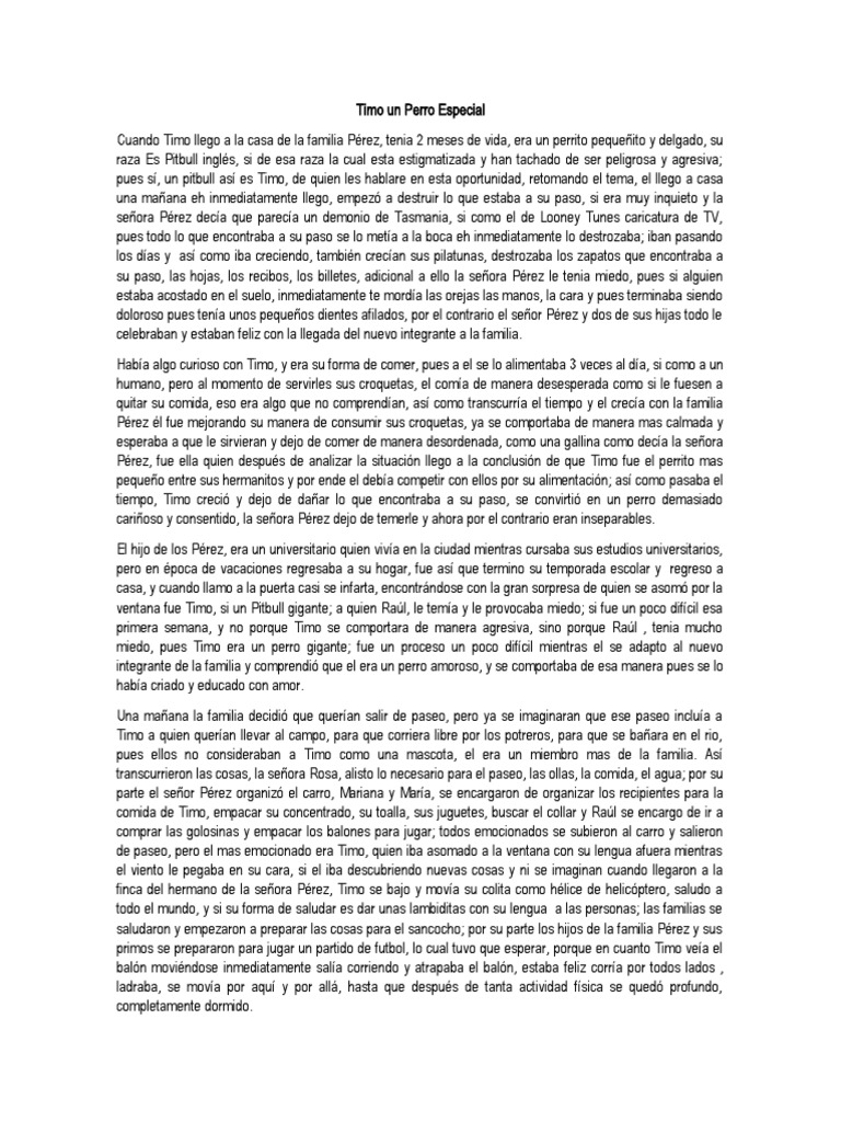 Timo Un Perro Especial | PDF