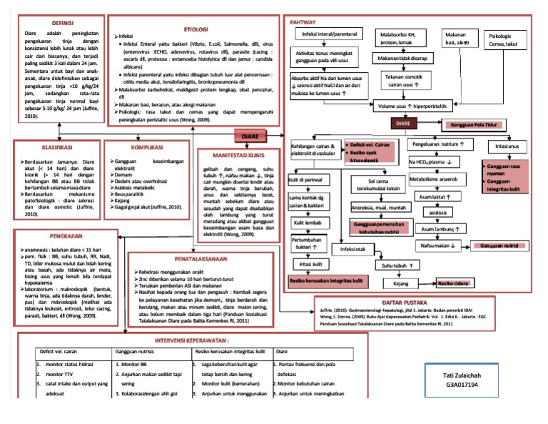 Mind Map Diare - Compress | PDF
