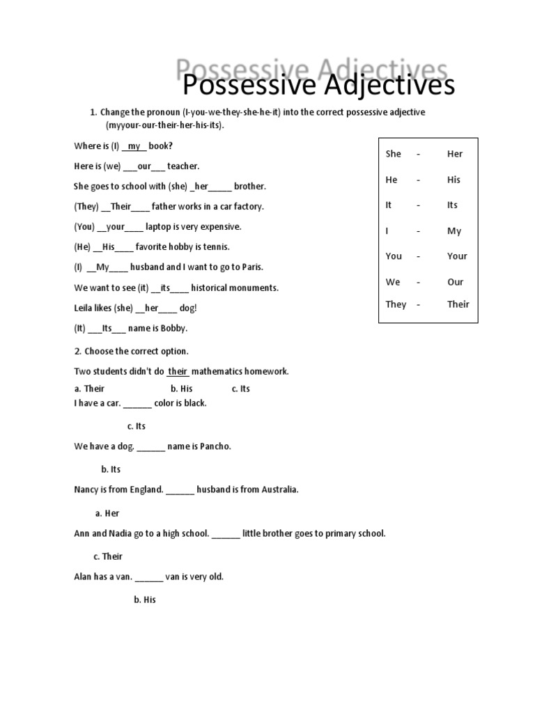 Homework Possessive Adjectives | PDF