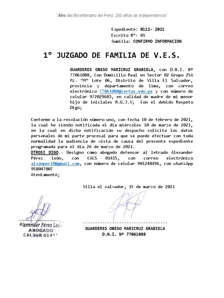 Escrito Confirmando Datos para Vista de La Causa Exp. 112-2021 | PDF