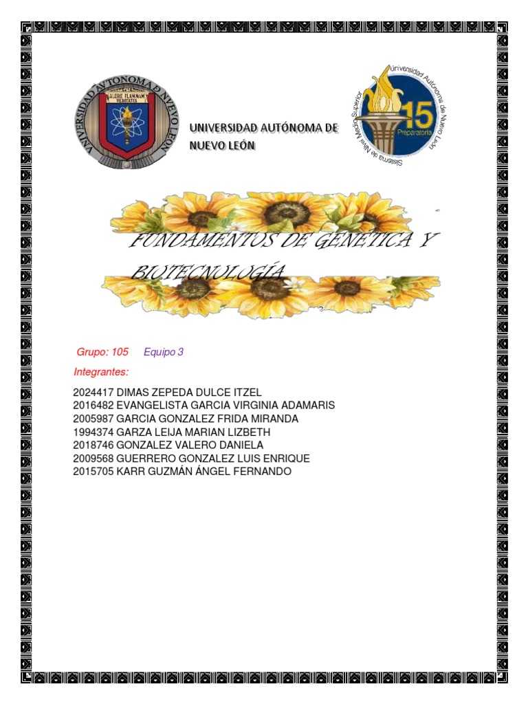 Equipo3 Ev4 Fgyb (Terminado) | PDF | Biotecnología | Organismo genéticamente modificado