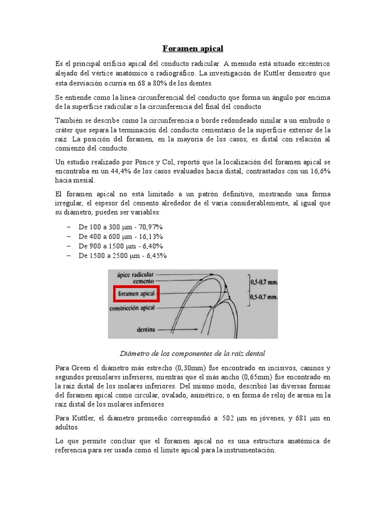 Morfología del Foramen Apical Dental | PDF | Diente | Anatomia dental