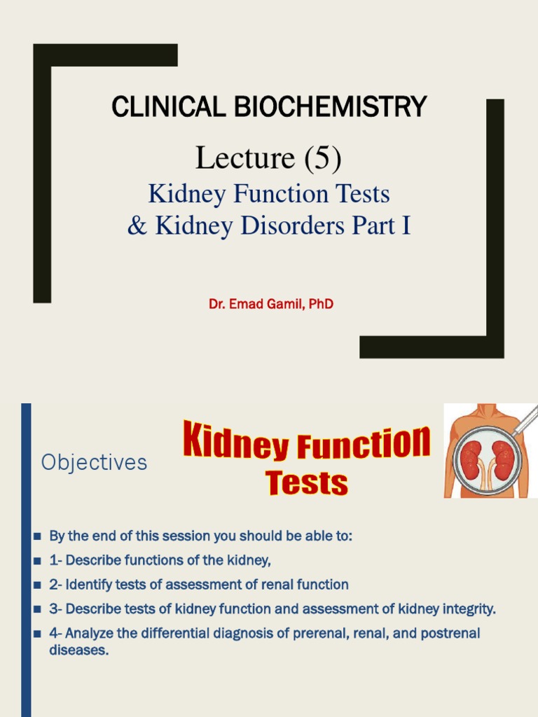 Lecture (5) Kidney Function Tests Part I | PDF | Kidney | Creatinine