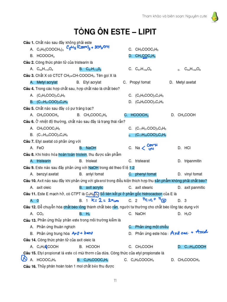 T NG Ôn Este + Lipit | PDF