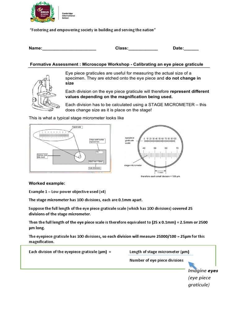Imagine Eyes (Eye Piece Graticule) Looking Up at The Stage (Micrometer ...