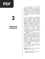 Heat's Effect on Tea Bag Diffusion | PDF