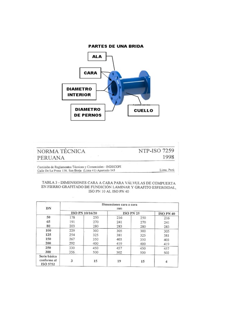 Partes de Una Brida | PDF