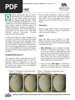 Project Write-Up Template Guide | PDF | Business
