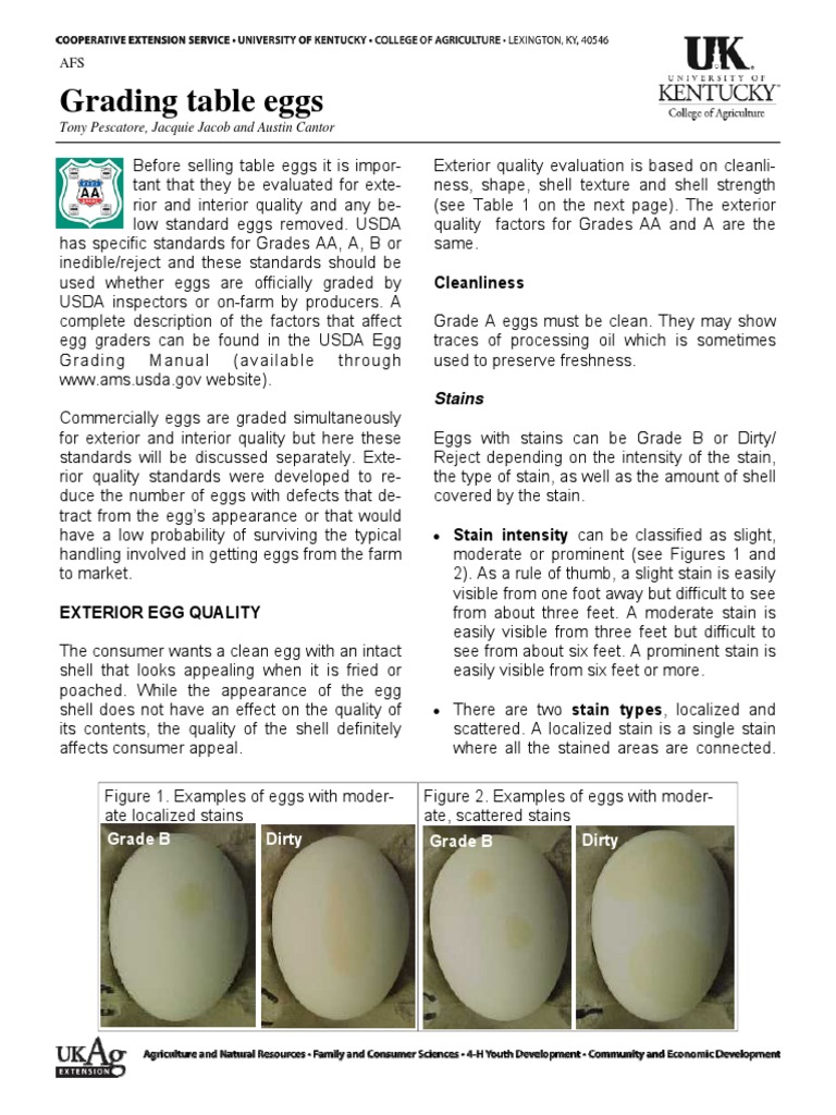 1 Grading Table Eggs | PDF | Egg | Egg White