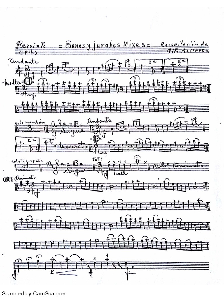 Sones y Jarabes Mixes-5 | PDF