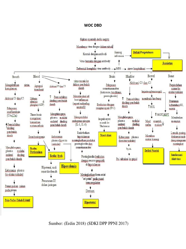 Woc DBD: Sumber: (Erdin 2018) (SDKI DPP PPNI 2017) | PDF