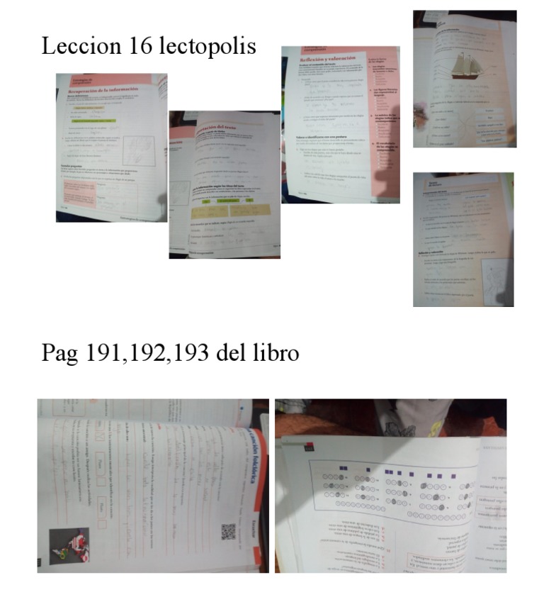 Leccion 16 Lectopolis y Paginas Del Libro Rodrigo Castellanos 5to B | PDF