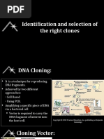 Essential Molecular Biology - A Practical Approach Volume I (Practical ...