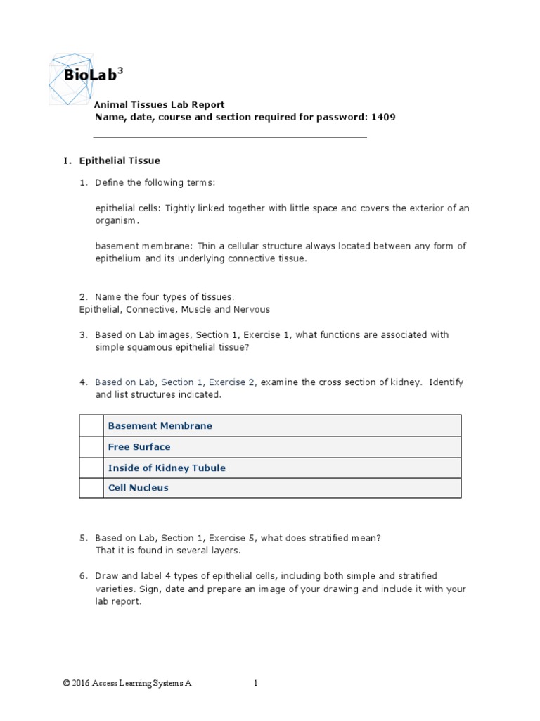 Biolab: Animal Tissues Lab Report Name, Date, Course and Section ...