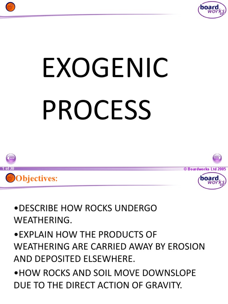 Exogenic Process & Weathering | PDF | Weathering | Rock (Geology)