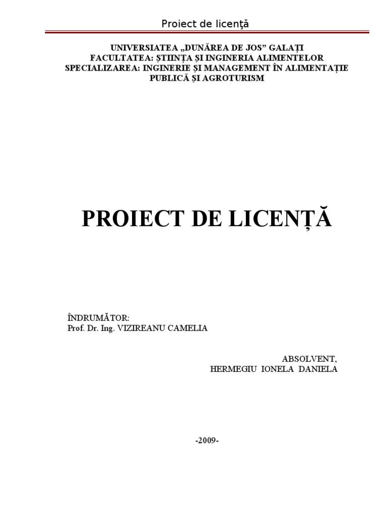 Proiect de Licenta Dana | PDF