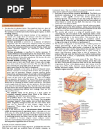 Friction Ridge Skin Morphogenesis and Overview | PDF | Epidermis | Hand