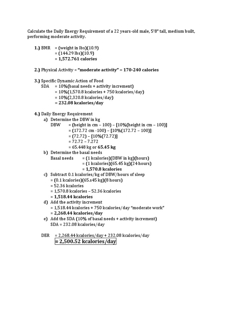 Daily Energy Requirement Calculation | PDF