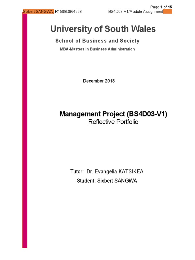Reflective Portfolio for Consultancy Project | PDF | Learning | Consultant