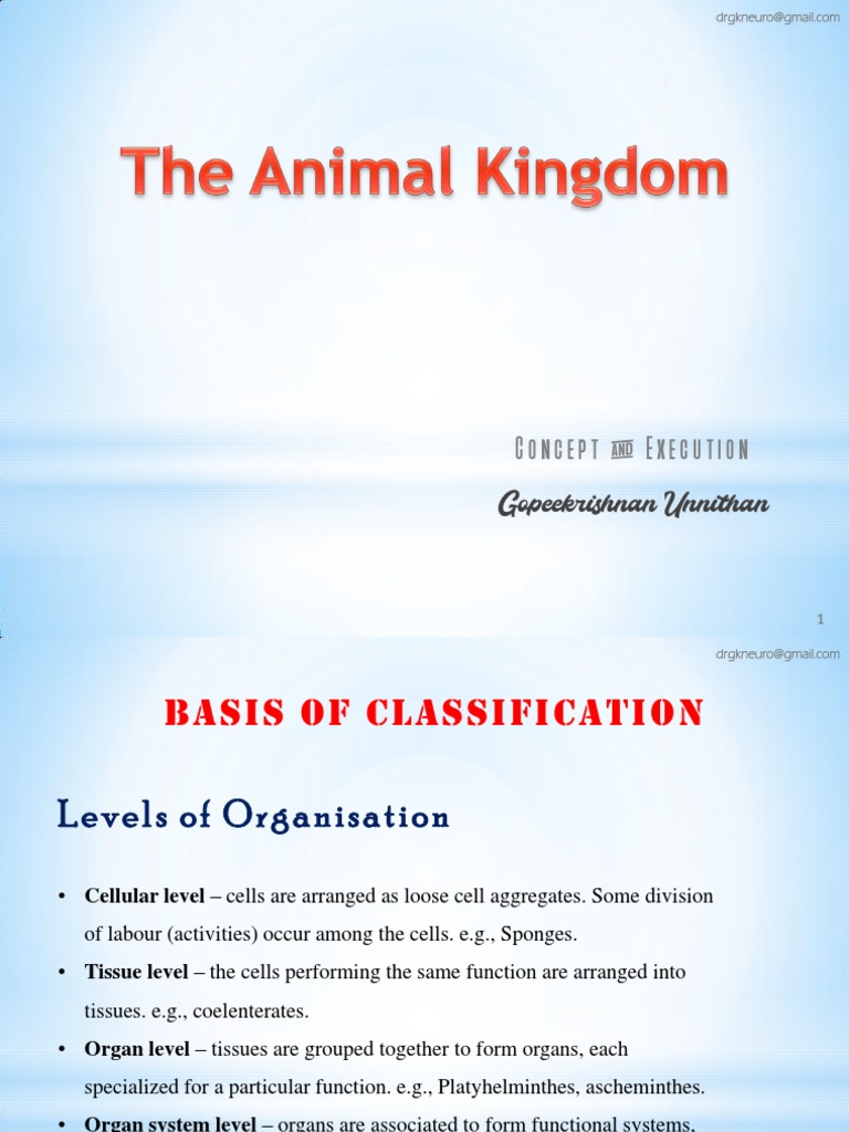 Animal Kingdom | PDF | Amphibian | Sponge