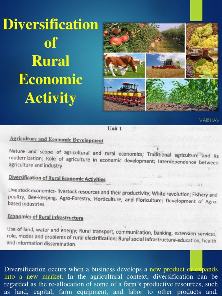 Strategies for Diversification of Rural Economic Activity in India ...
