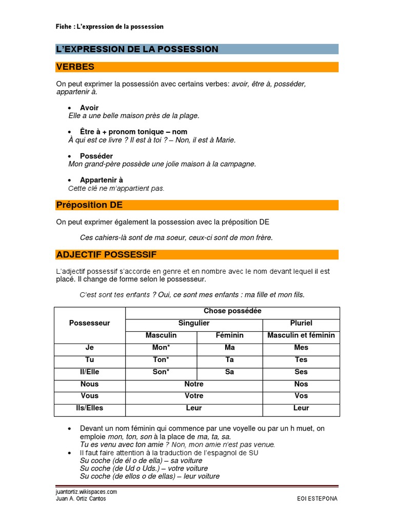 Expression de la possession en français | PDF | Genre grammatical ...