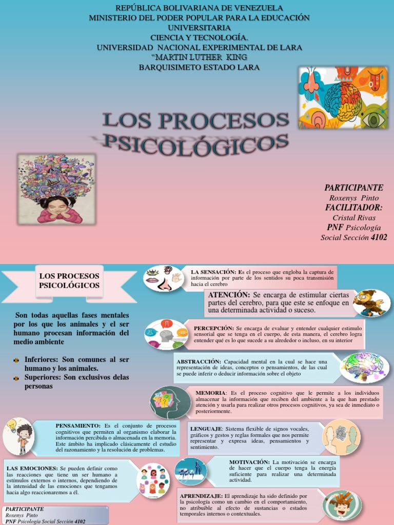 Mapa Mixto de Los Procesos Psicologicos Seccion 4102 PNF Psicologia Social Roxenys Pinto | PDF ...