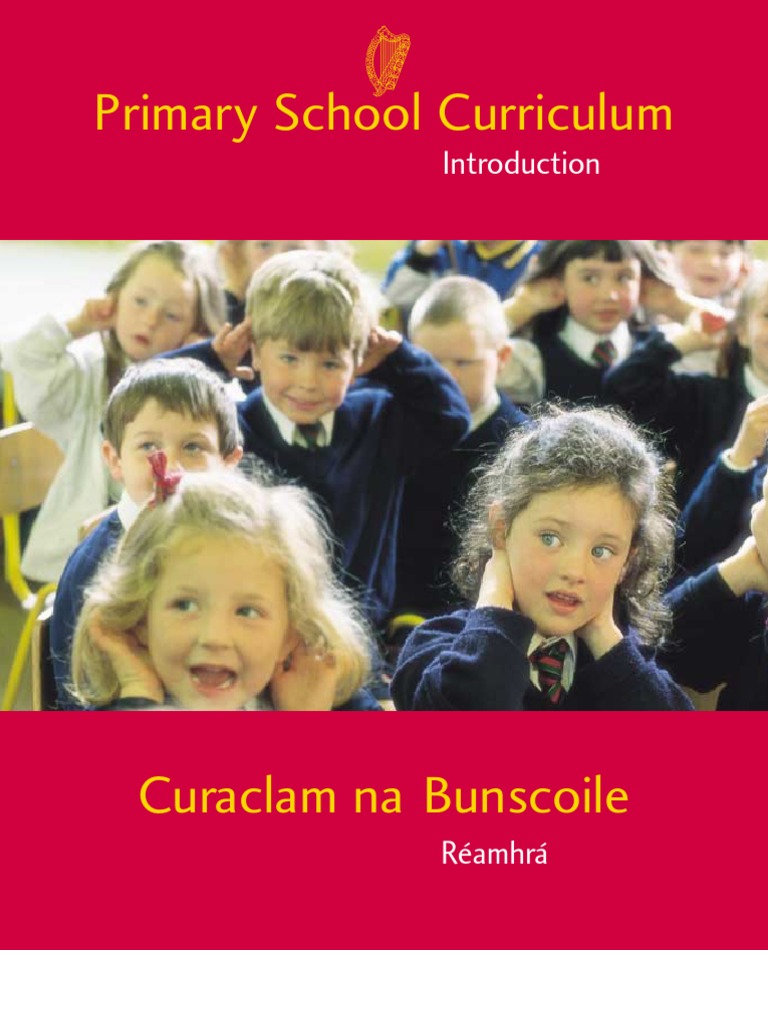Primary School Curriculum | PDF | Curriculum | Learning