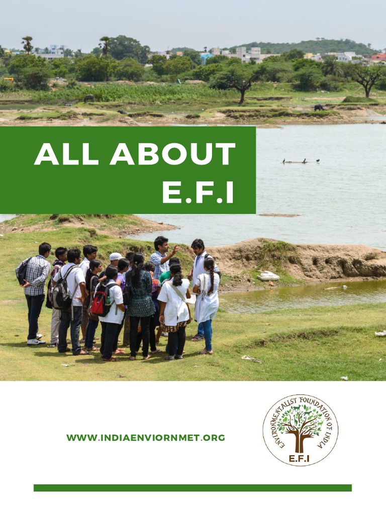 All About Efi | PDF | Environment | Environmental Social Science