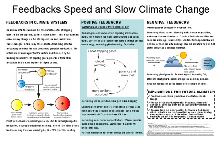 Feedbacks in Climate Systems Positive Feedbacks Negative Feedbacks ...
